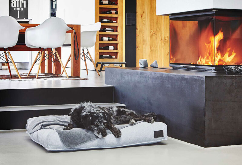 Cama cojín de diseño lineal para perros Divo de MiaCara • Cattus & Friends