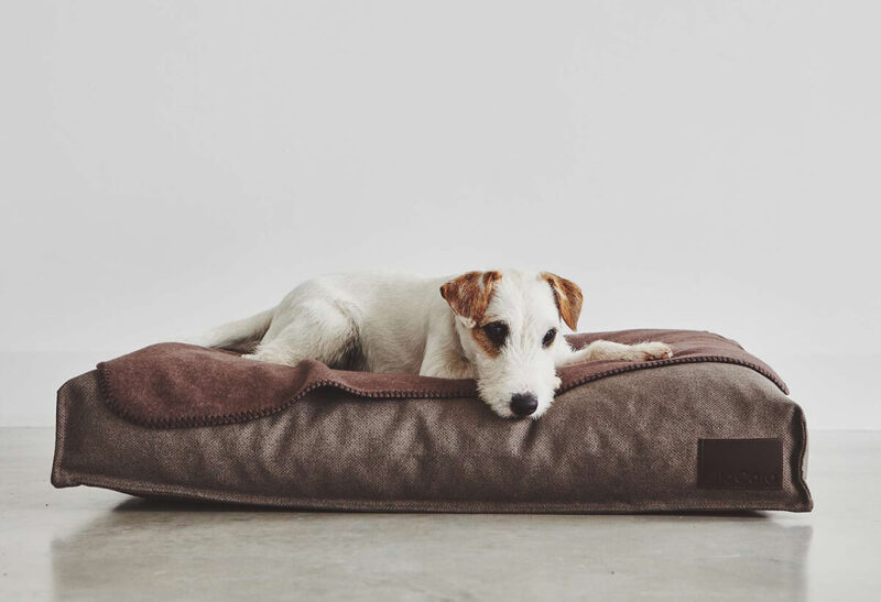Cama cojín de diseño lineal para perros Divo de MiaCara • Cattus & Friends