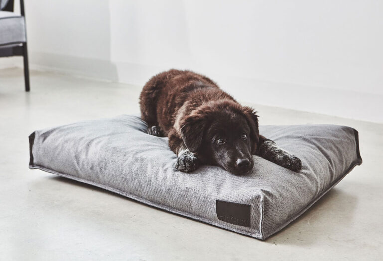 Cama cojín de diseño lineal para perros Divo de MiaCara • Cattus & Friends